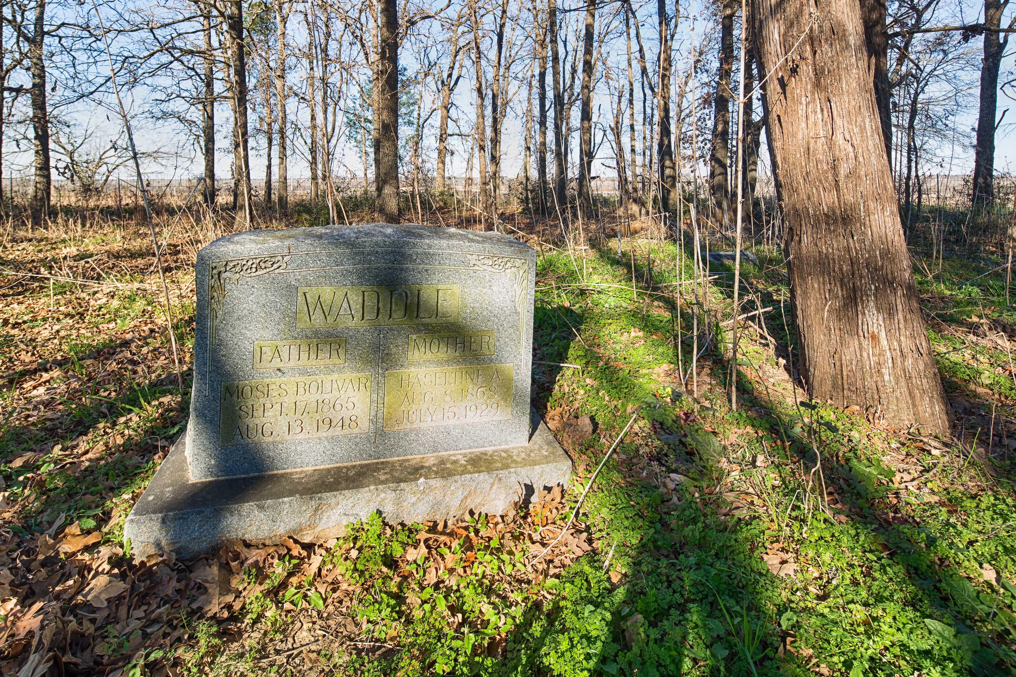 Sandow Lakes Ranch | Rockdale, TX | Icon Global Group