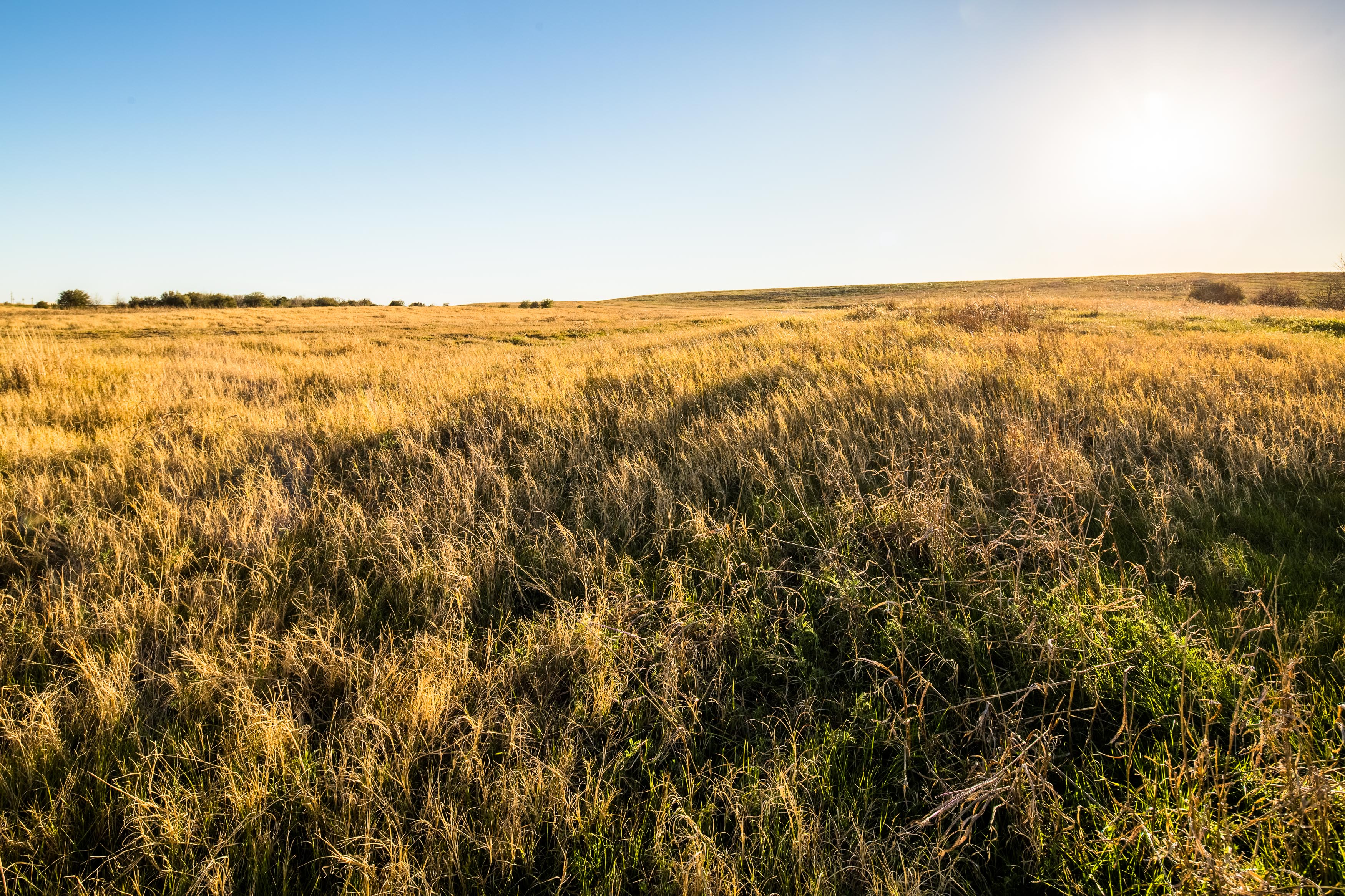 Sandow Lakes Ranch | Rockdale, TX | Icon Global Group