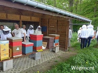 Rucher-école | F.R.P.L.A.