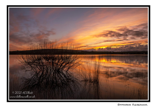 Stithians & Stithians Reservoir Walk downloadable guide | Billie's Walk