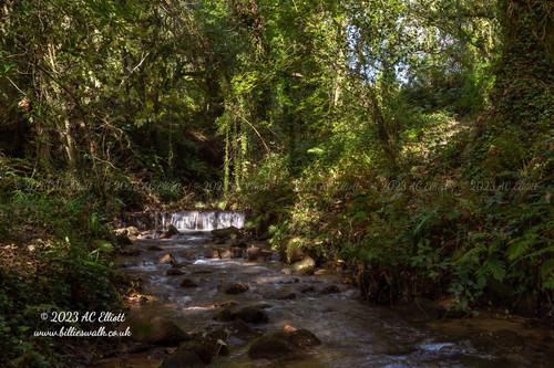 Tregargus Valley | Billie's Walk Photography