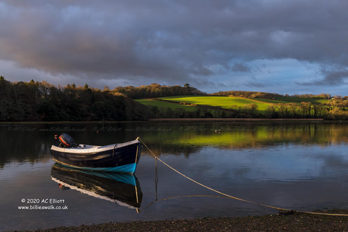 Carnon River | Billie's Walk Photography