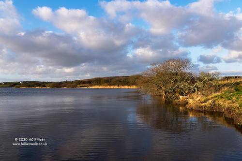 Stithians & Stithians Reservoir Walk downloadable guide | Billie's Walk