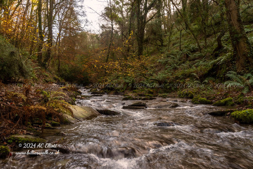 River Trevillet | Billie's Walk Photography