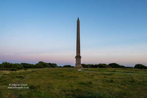 Gilbert Monument, Bodmin Beacon | Billie's Walk