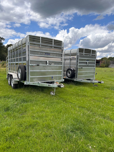 M-TEC 12ft Trailer with Sheep Decks | R.D Agri