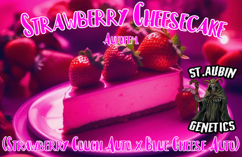 Strawberry Cheesecake Autofem. - 12/pk | St. Aubin Genetics
