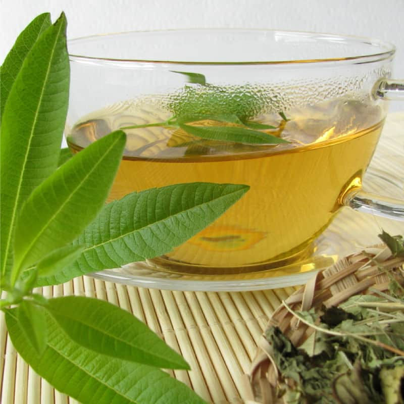 GARDEN OF THE ANDES | Tea for Lifetime