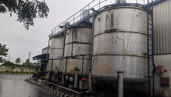 Our Plants | ROADGRIP