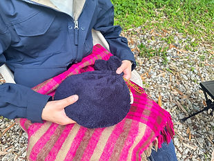 GOZEL | キャンプ