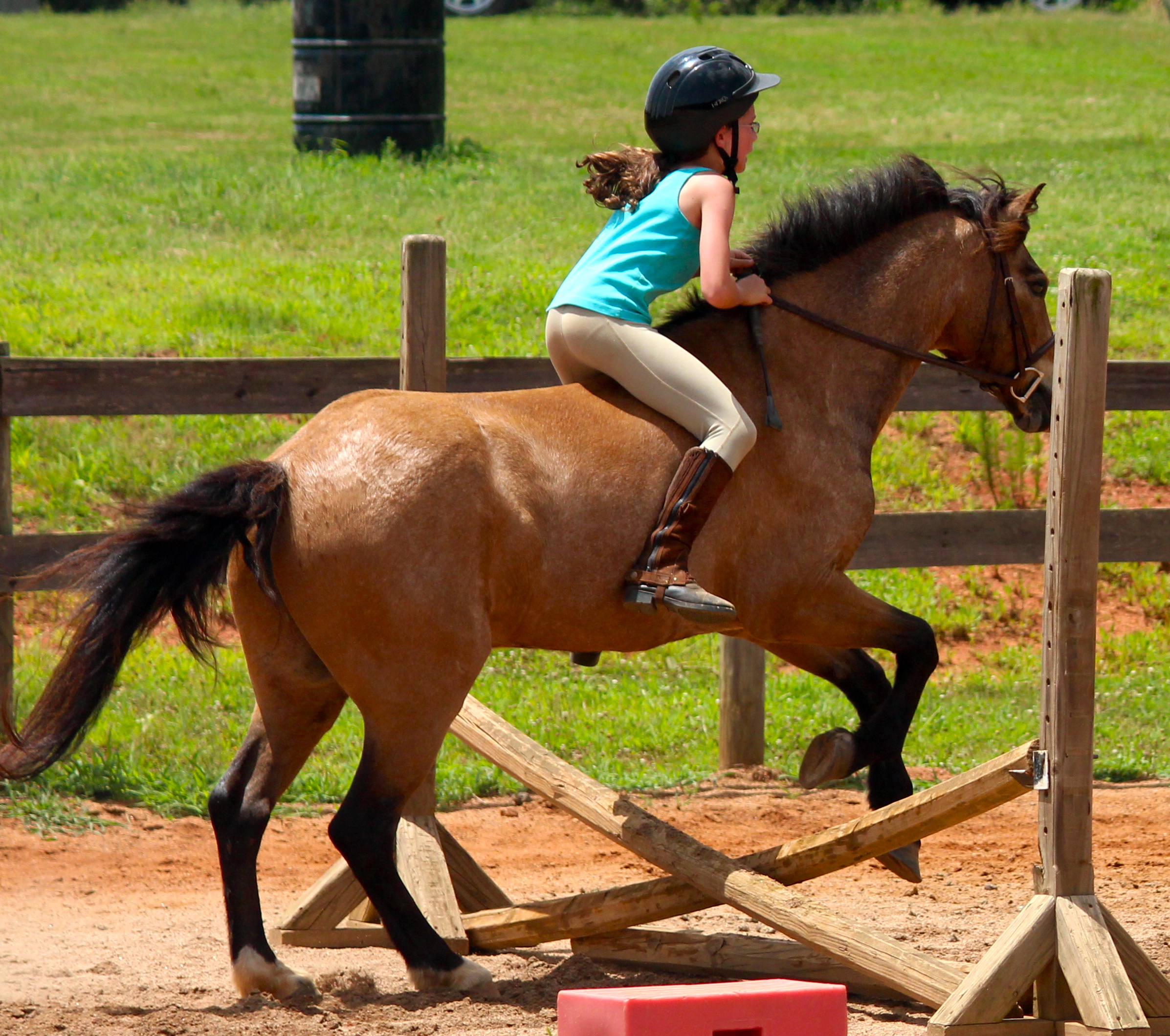 Summer Horse Weeks: Beginner to Advanced horseback riding camps