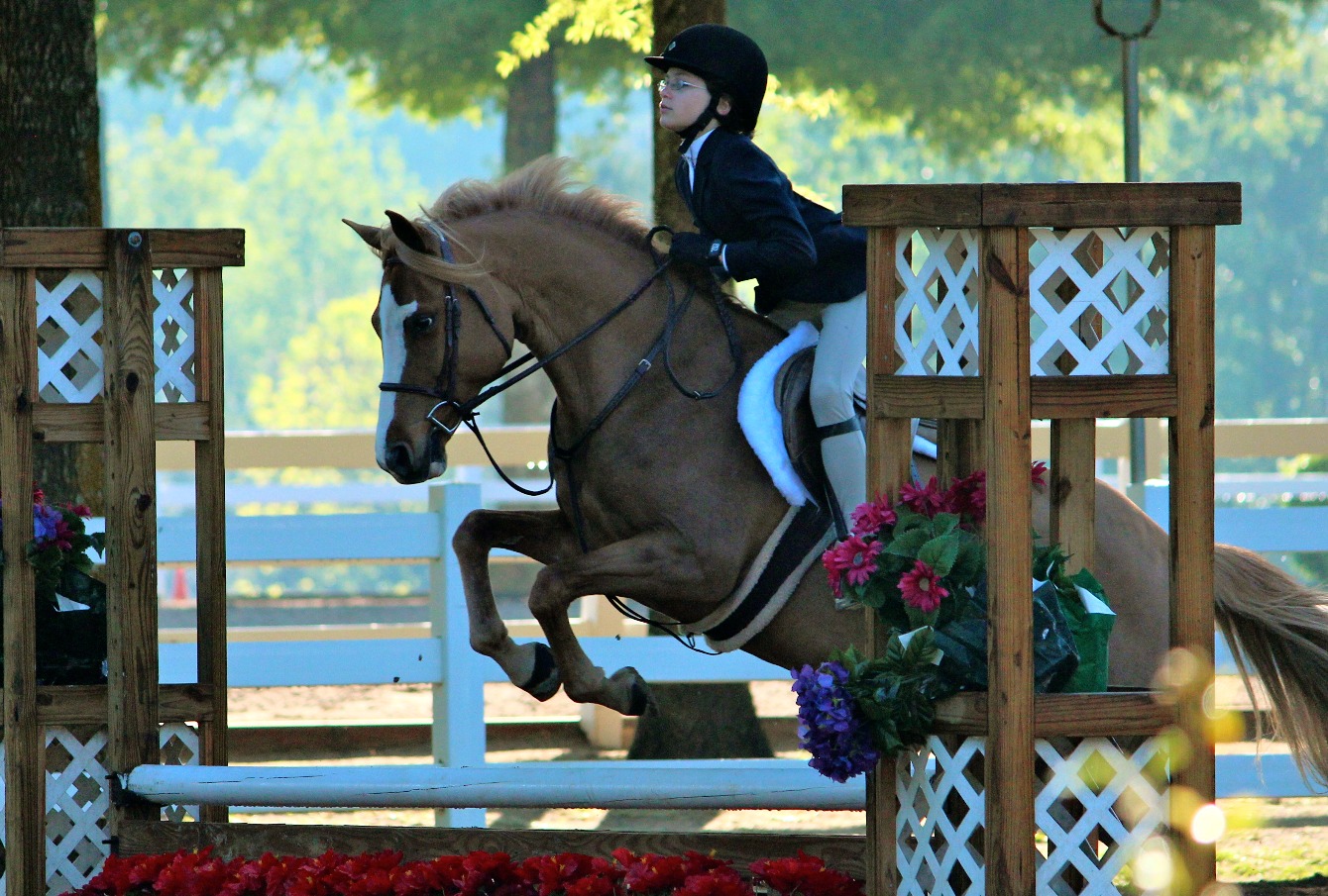 Junior/Young Riders: riding lessons, camps, birthday parties