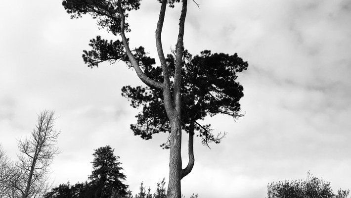 NATURE | Mark Blezard | Photography