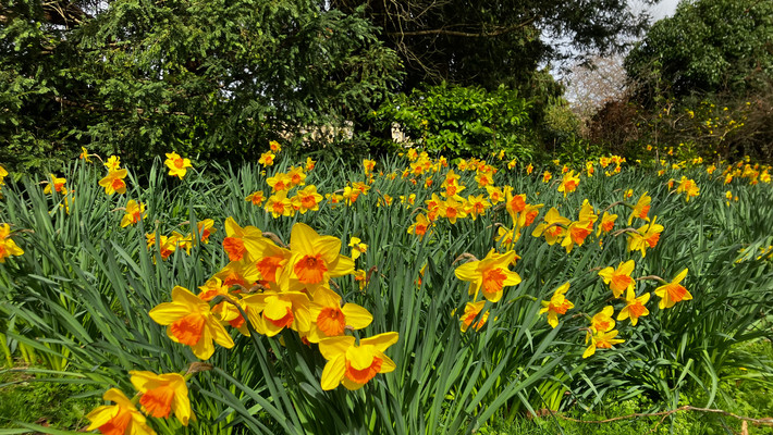 NATURE | Mark Blezard | Photography