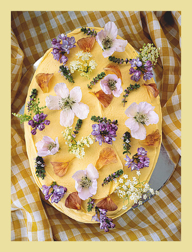 Oval Cakes | The Cake Diary