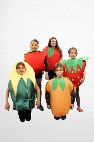 Maskot ve Animasyon Kostümleri Domates | Color Kostüm