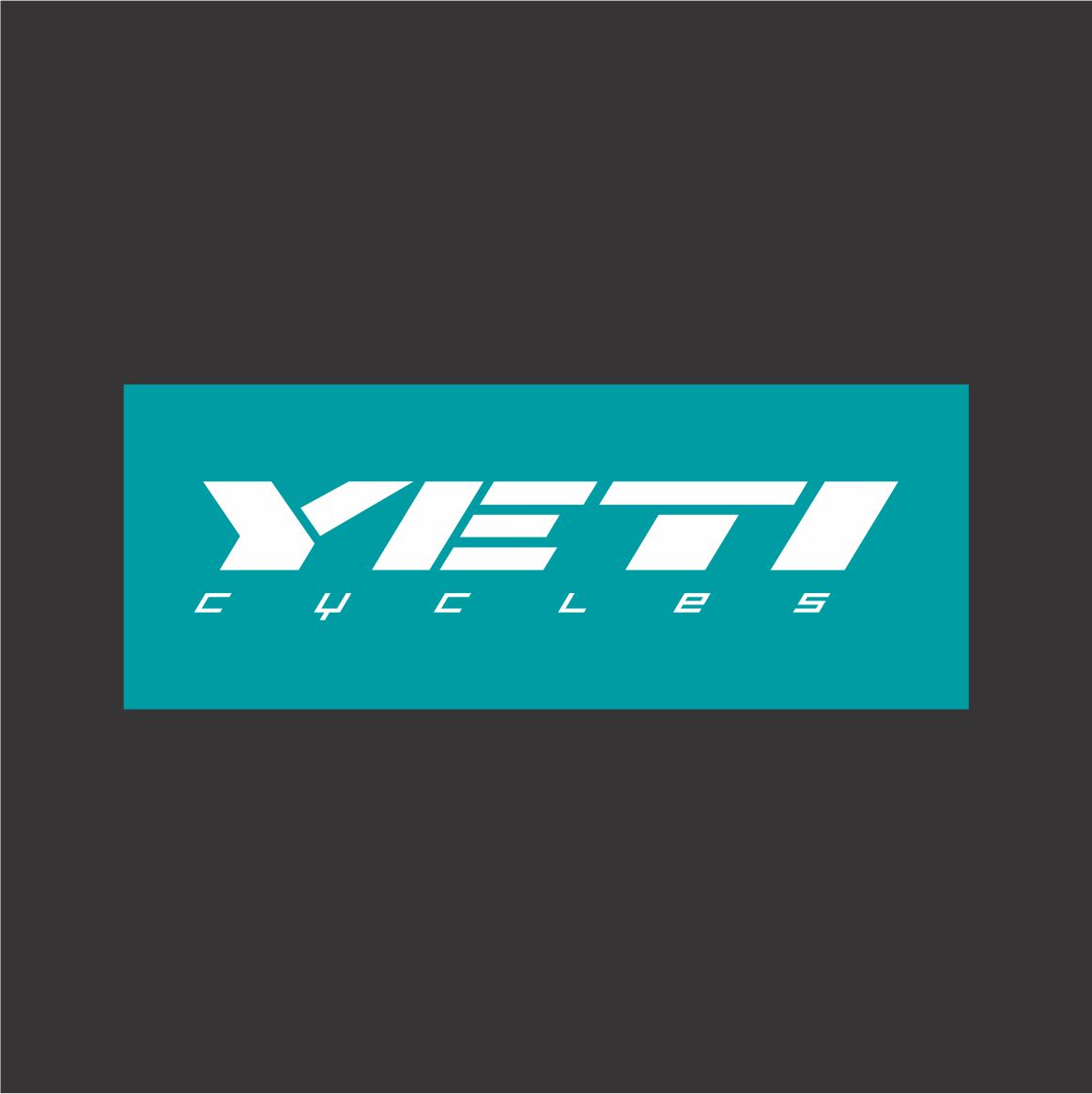 Logotipo De Ciclos Yeti Yeti ASR | Bicicleta De Montaña De Carbono