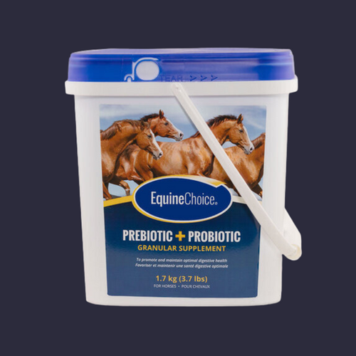 Equine Choice PREBIOTIC + PROBIOTIC Granular | Full Stride Therapy