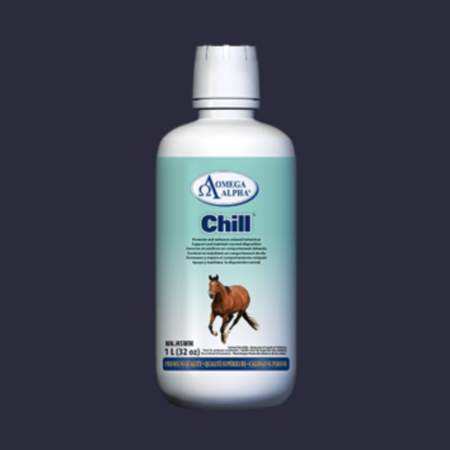 Chill | Full Stride Therapy