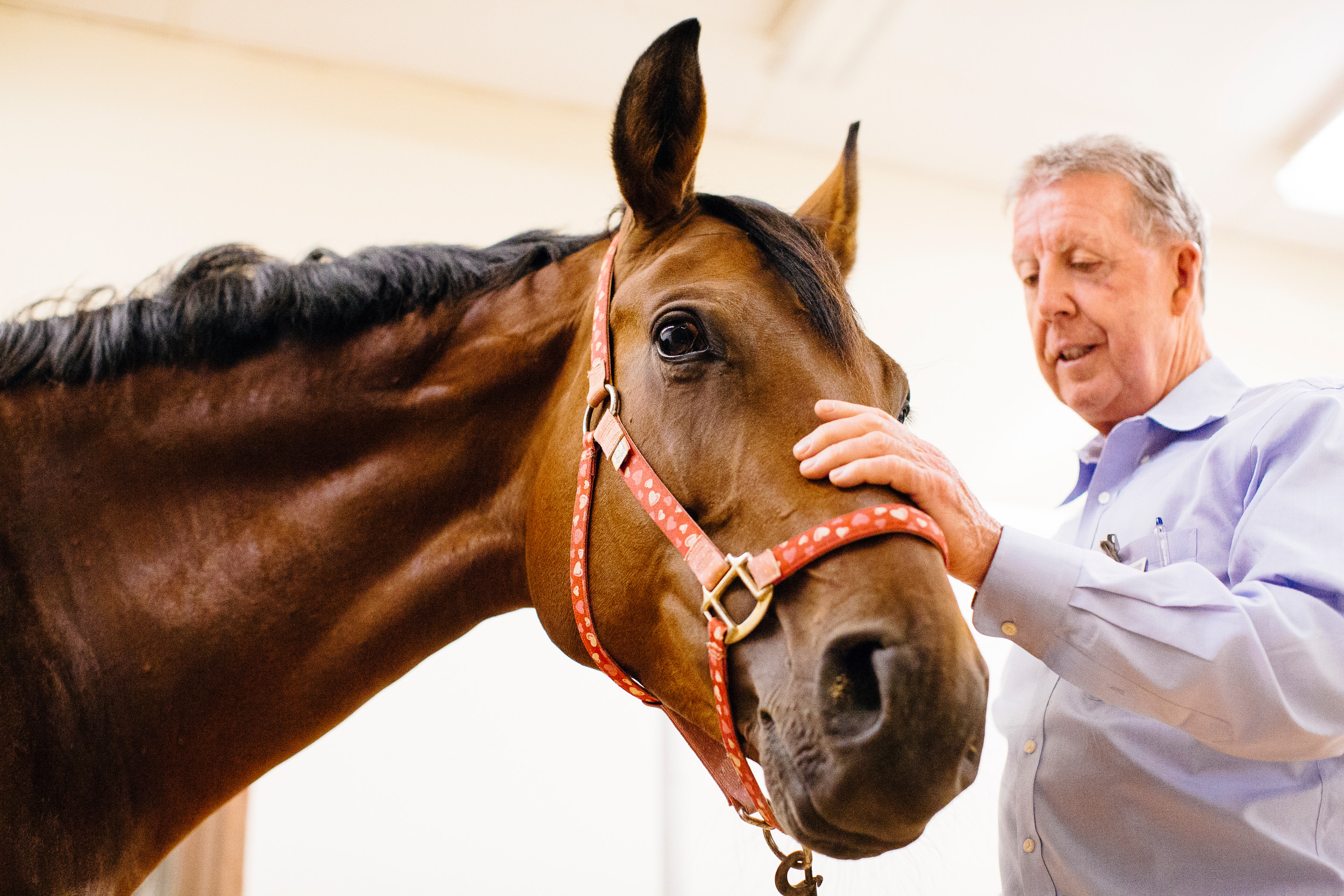 John Madigan DVM is best known as the inventor of the Madigan Squeeze Procedure