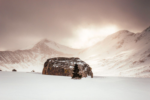 First Tracks | Sheldon Roth