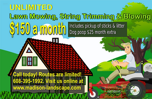 Madison Landscape and Snow Removal