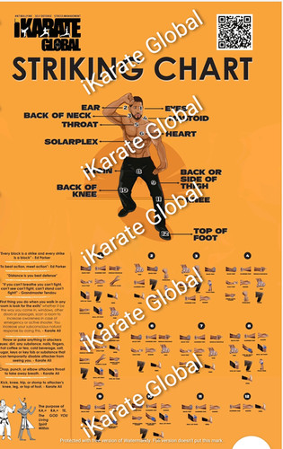 iKarate Global Striking Chart | iKARATE CLUB