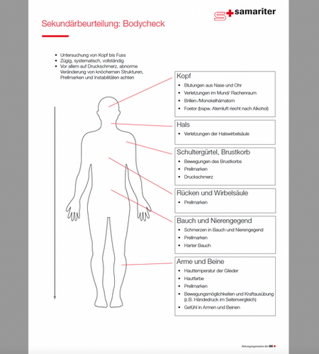 Bodycheck | Maurer Design