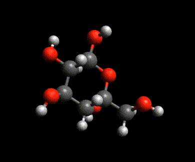 Accueil | Travaux Pratiques Encadrés