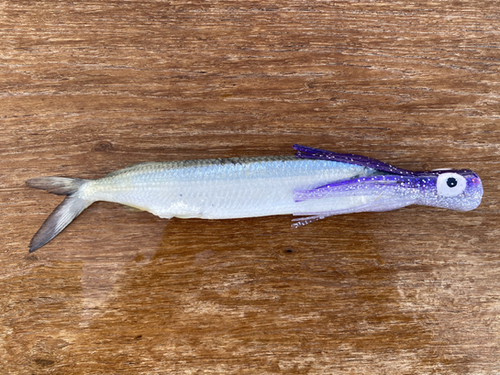 Purple Silver Chuggers (3 sizes) | Fish Downsea