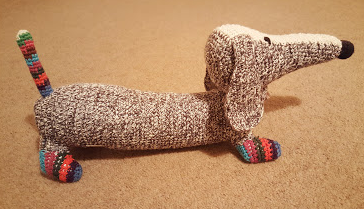 Investigating the health of dilute coloured Dachshunds