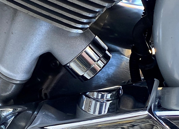 Cam Tensioner Cover | Fitzgerald MS