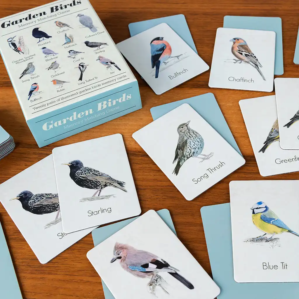 Bird Matching Memory Game | Sea Whistle