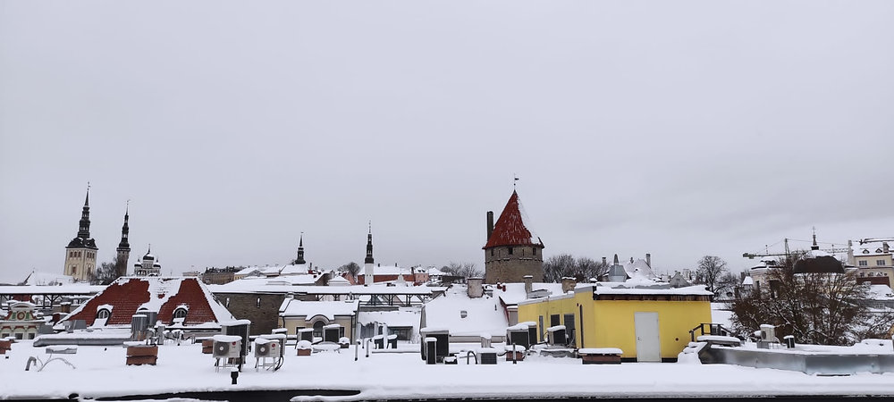 Estonsko – země brambor, ateistů, Rusů a nádherné přírody