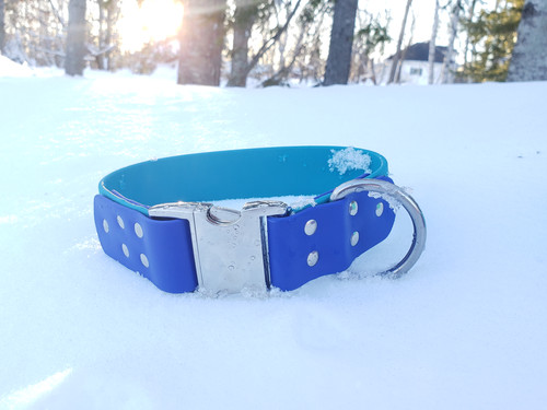 Biothane Quick Release Collars | Quest Pet Gear