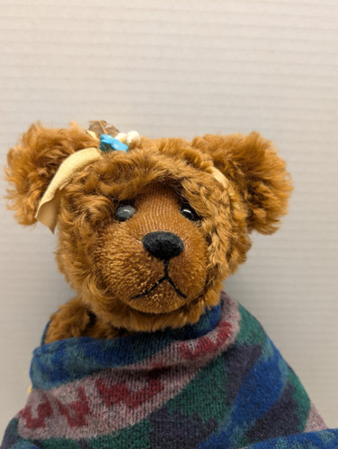 Medicine Bear by Ruth Jones | Teddys