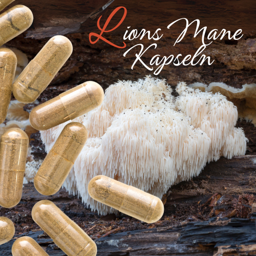 Lion's Mane Kapseln für deine Gesundheit! | MamaMuscaria