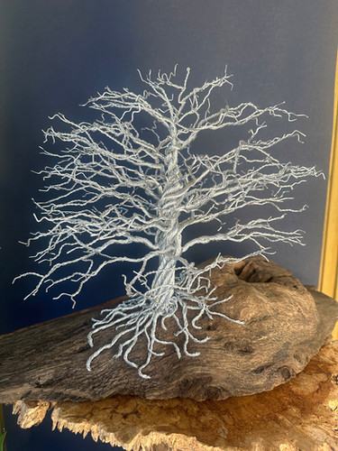 Twisted Wire Tree Sculpture | Cutler Aesthetics