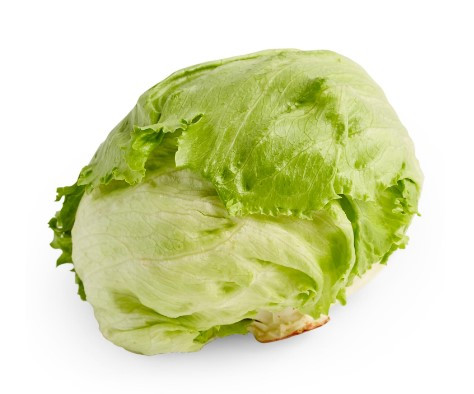 Iceberg Lettuce | Hector Produce Corp.