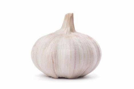 Garlic | Hector Produce Corp.