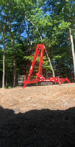 Tree Removal | TNT Tree & Stump | United States