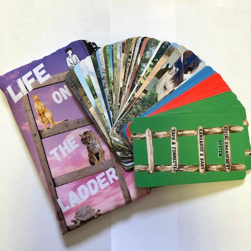 Life on the Ladder Cards | Pecan Creek Ranch