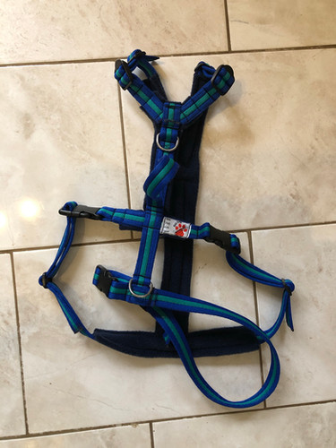Houdini style walking harness | Boz Dog Haz Gear