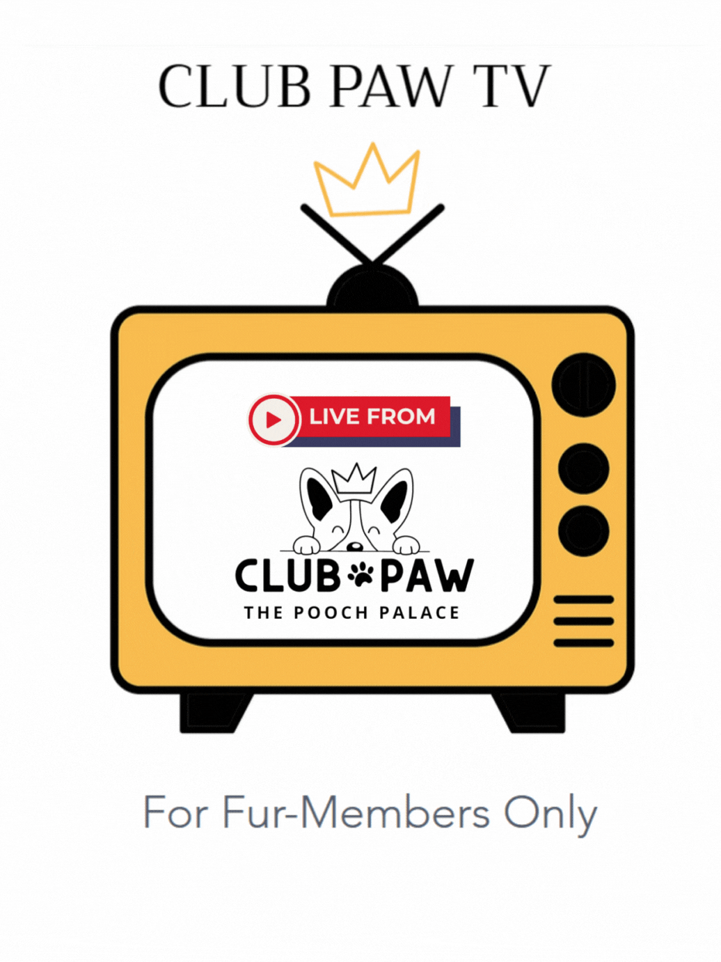 Club Paw TV | The Pooch Palace