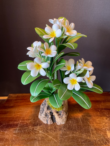 Plumeria Tree White Meduim | Nana's Clay Flowers