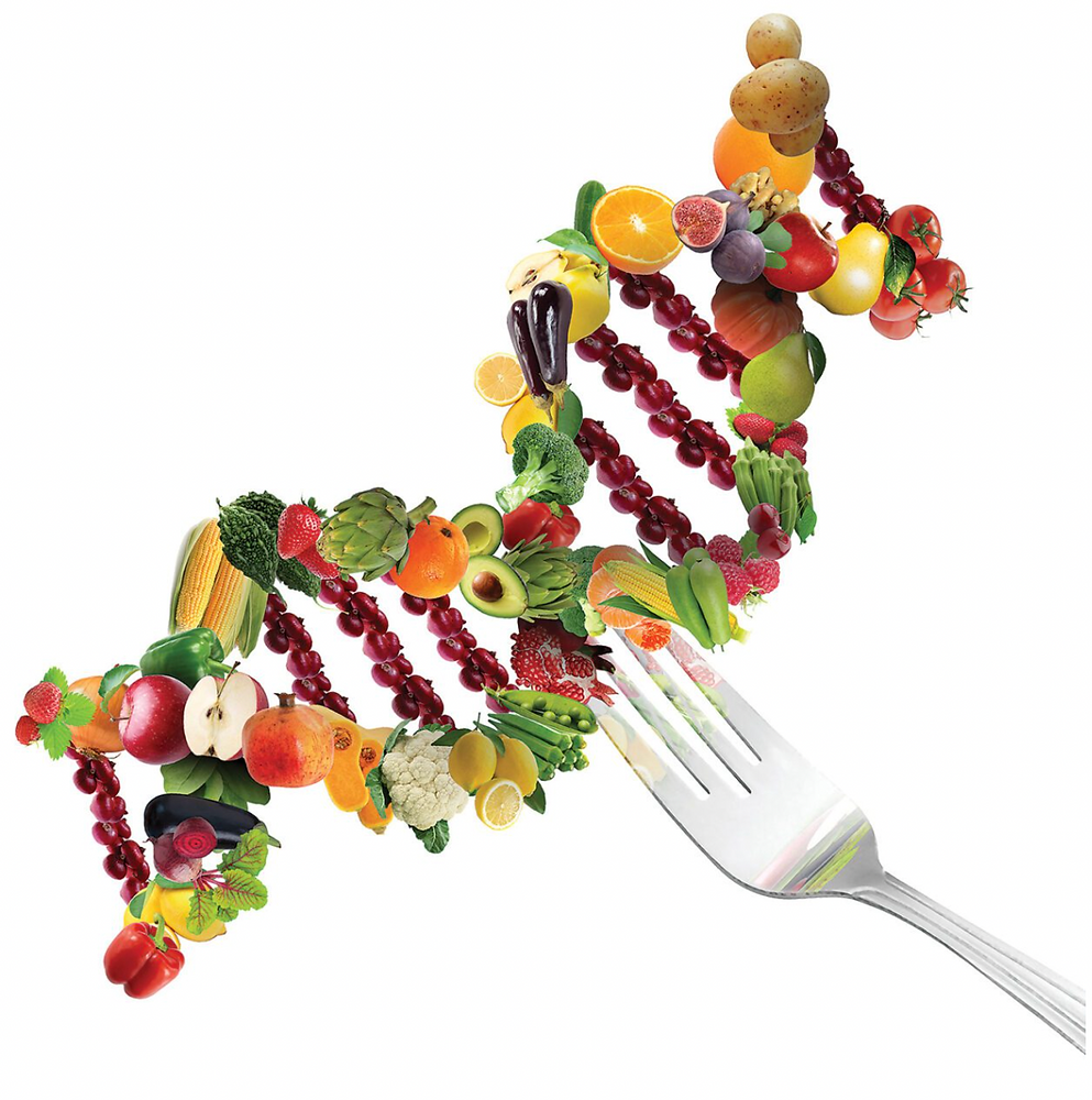 Introduction to Nutrigenomics: How Nutrients Interact with Your Genes