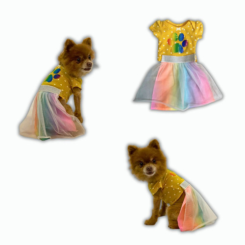 Rainbow Paw Print Dog Dress | Tailor Sallee