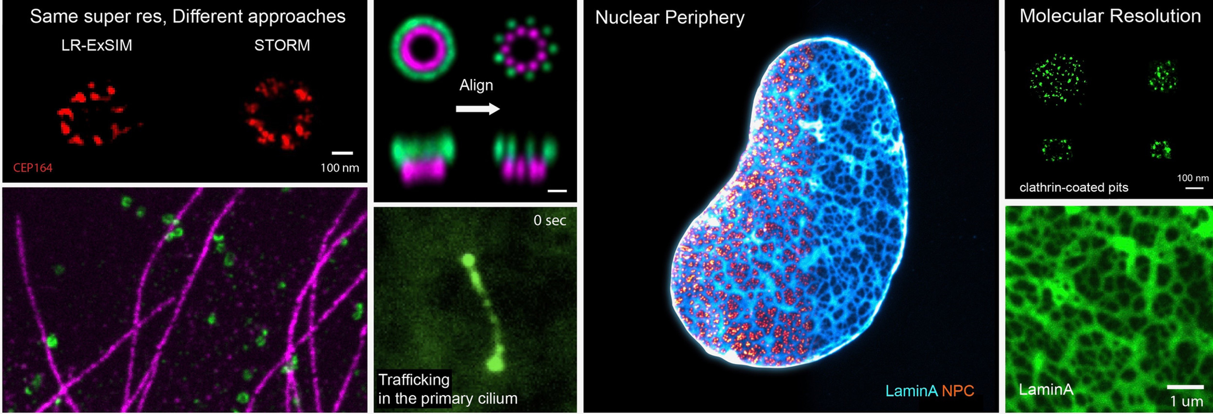 Publications | Shi Lab
