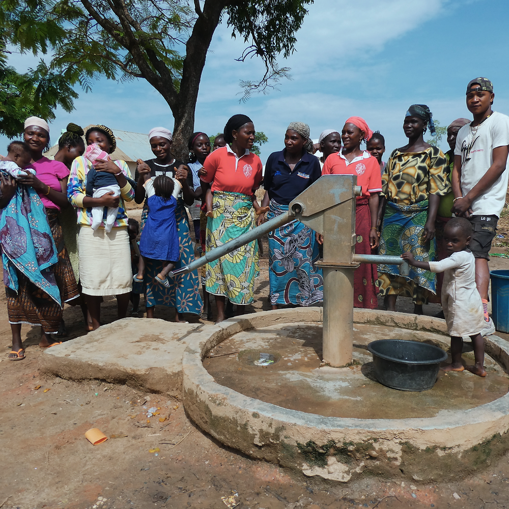 International Water Day: Pandagric Novum Limited's Corporate Social ...