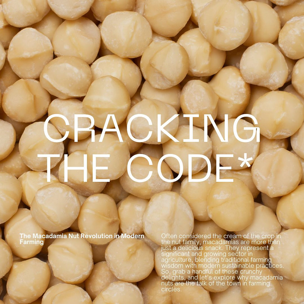 The Macadamia Nut Revolution in Modern Farming